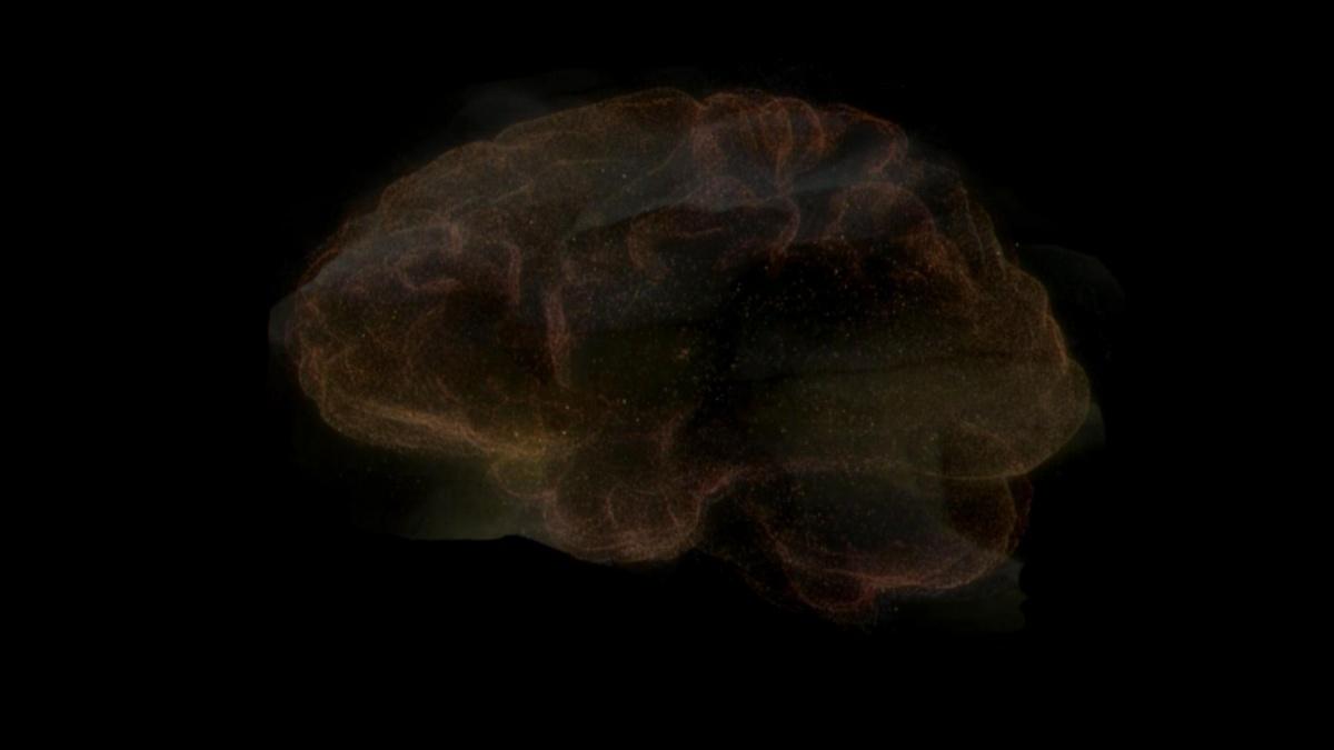 Episode 1 | How the Brain Creates Reality | The Brain with David ...