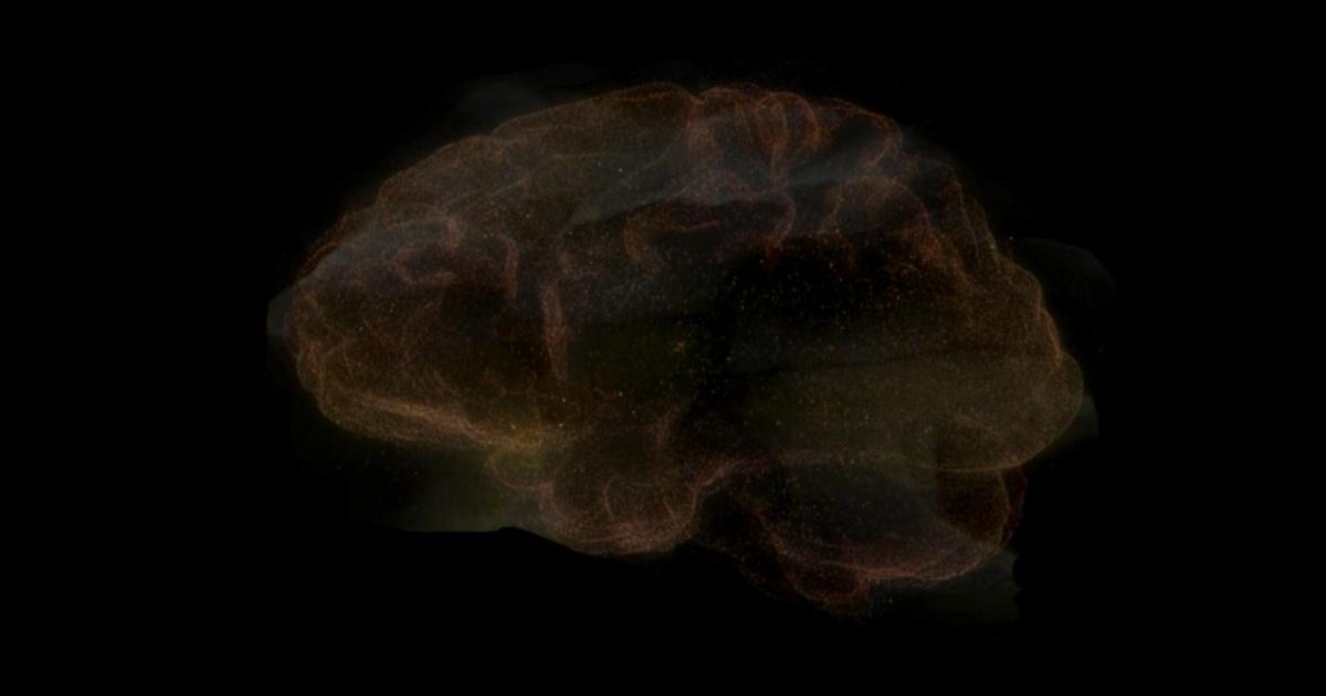 The Brain with David Eagleman | Episode 1 | How the Brain Creates ...