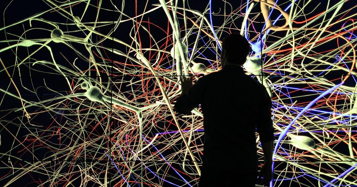 The Brain with David Eagleman | Who will we Be? | Episode 6 | PBS