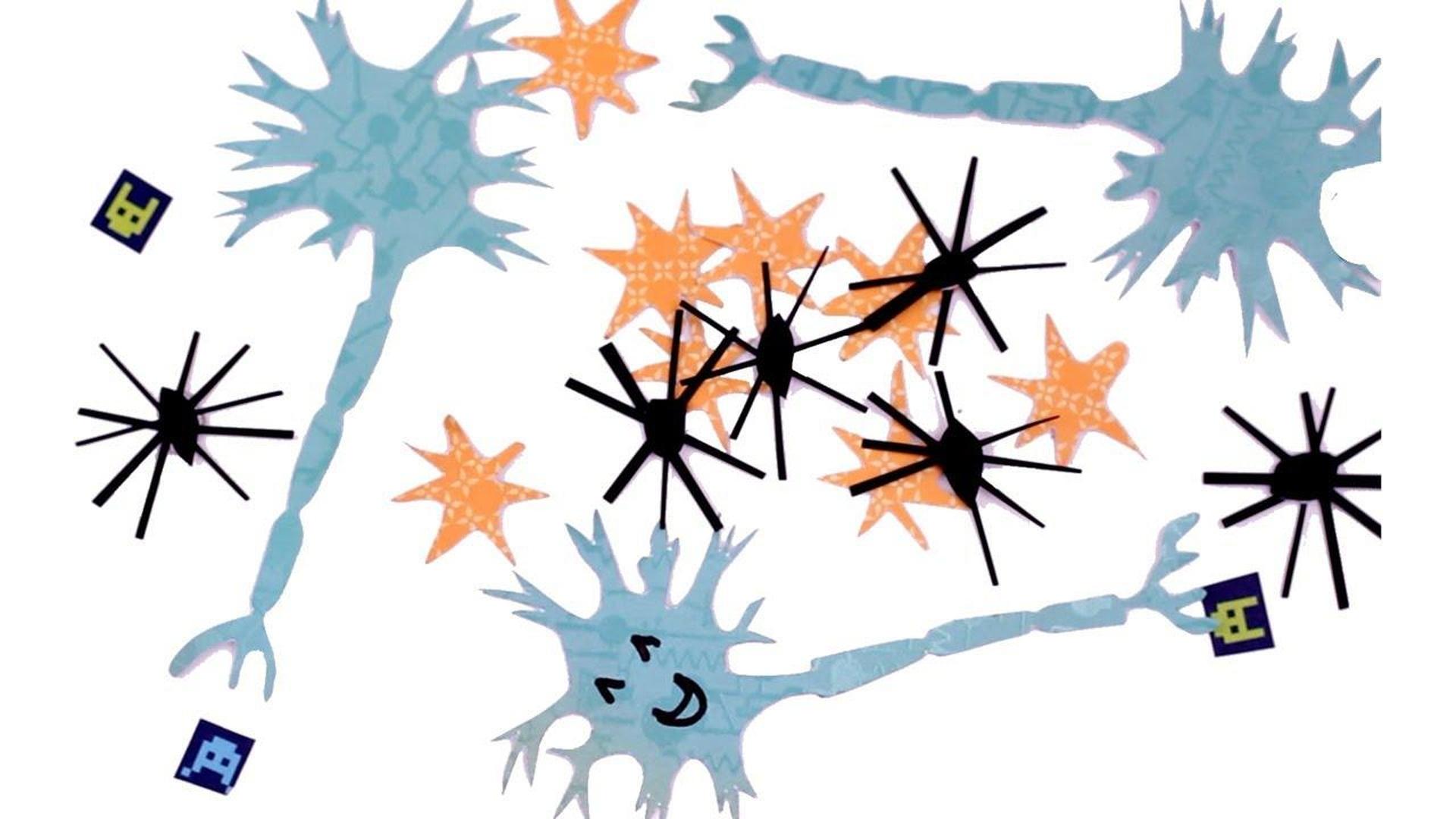 Amazing Brain Cells You've Never Heard of | BrainCraft | ALL ARTS