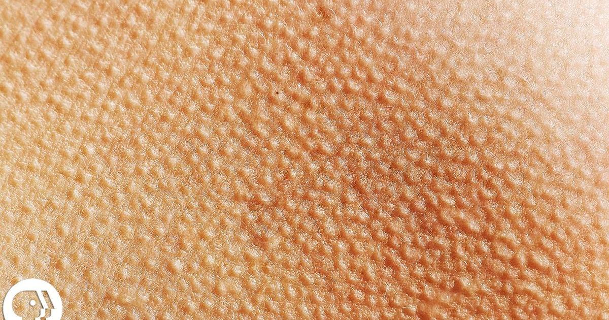 BrainCraft | This Video May Give You Goose Bumps | Season 2 | Episode ...