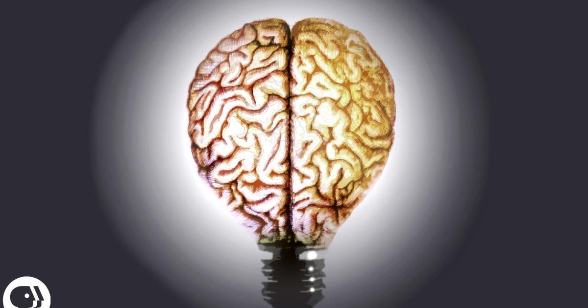 BrainCraft | The Secret to Creativity | Season 2 | Episode 40 | PBS