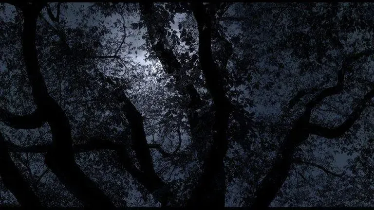 Central Park Five | PBS