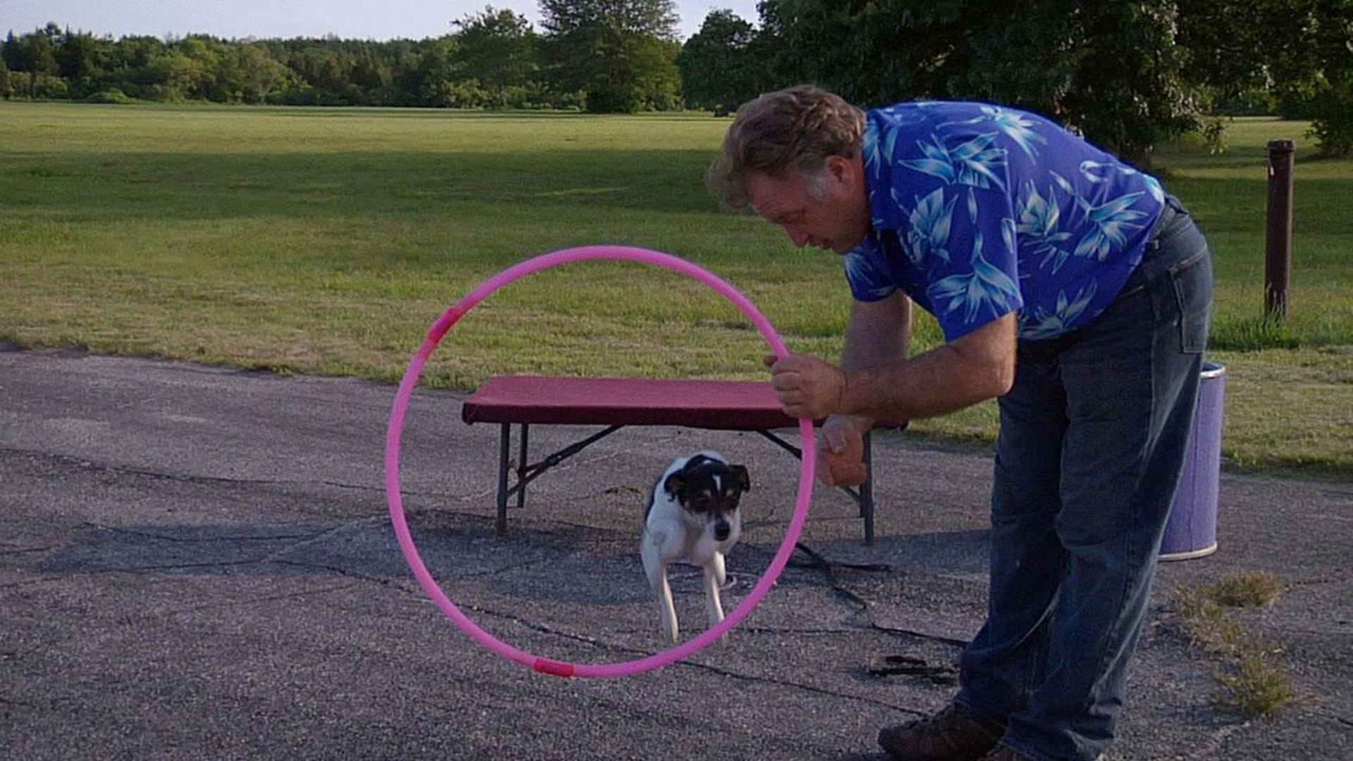 Circus DIY: How to Train a Dog at Home | Circus | THIRTEEN - New York ...