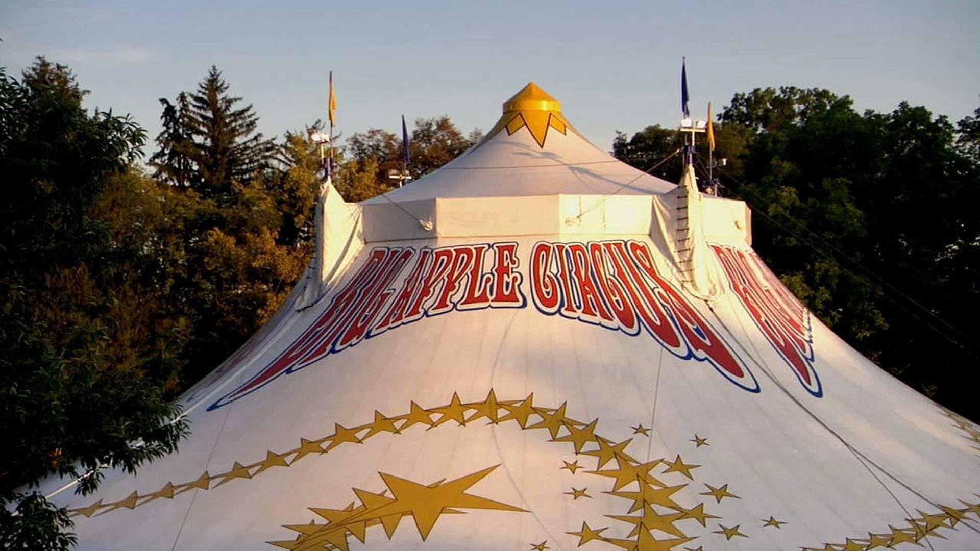 Walden Is... | Circus | ALL ARTS