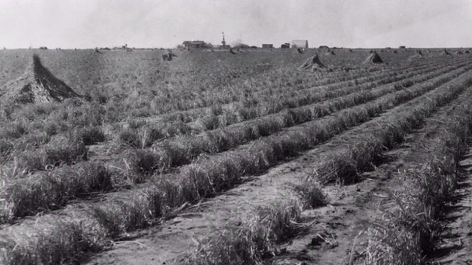 The Dust Bowl | Sanora Babb | PBS