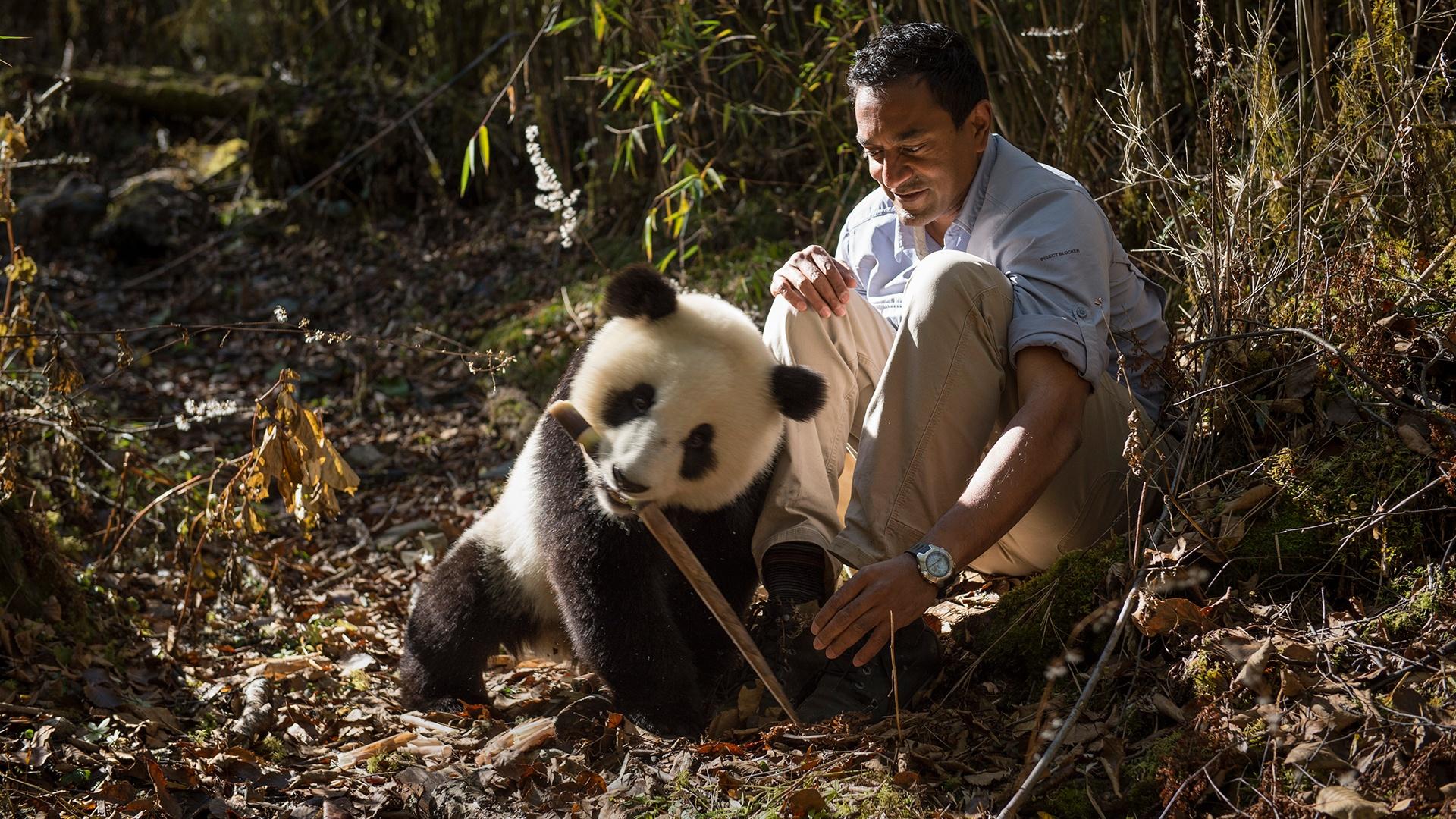 Official Trailer | EARTH A New Wild | NJ PBS