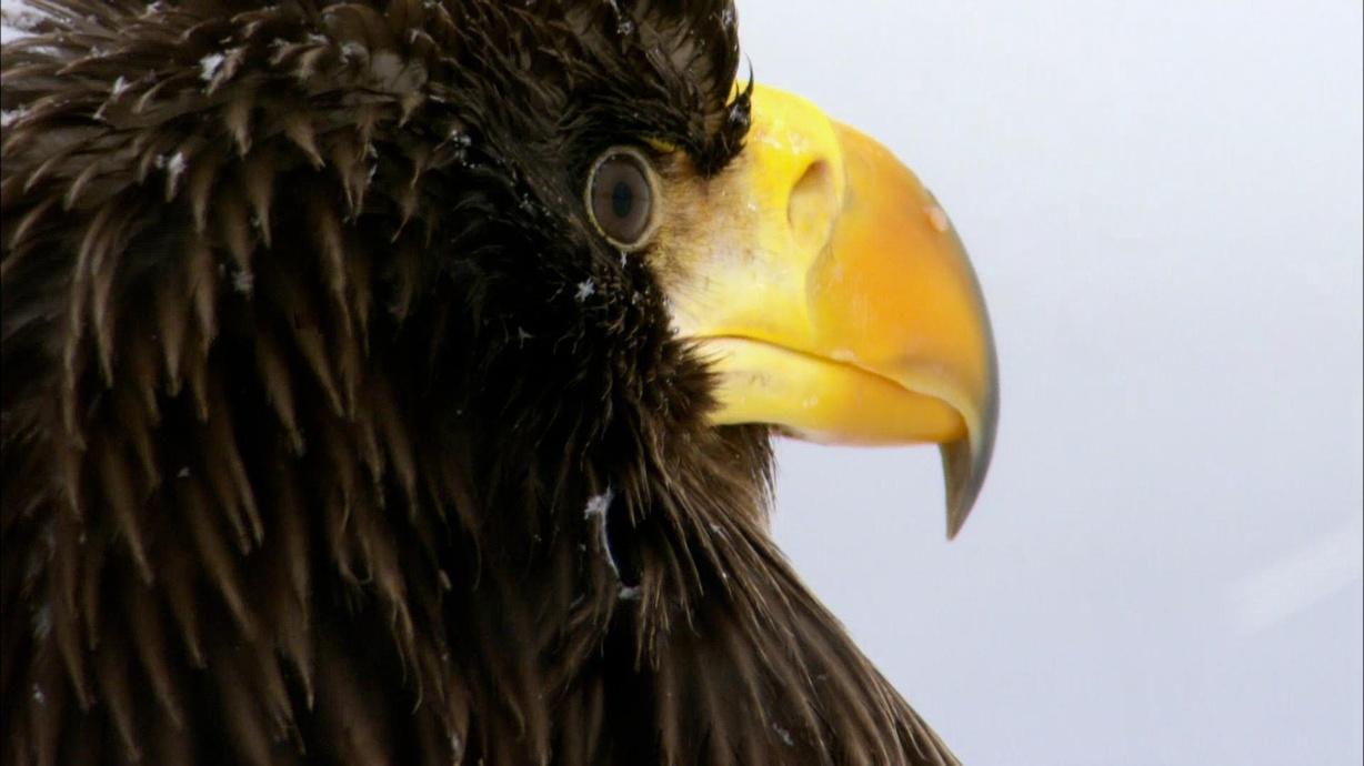 Extreme Wonders | Watch on PBS Wisconsin