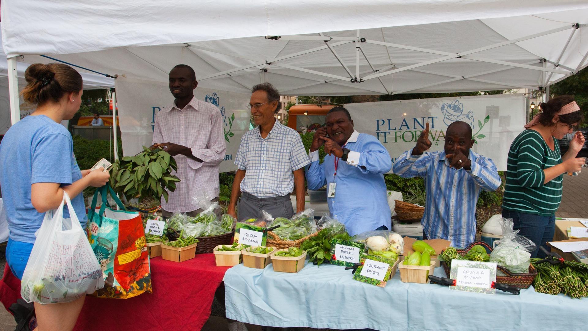 Food (Justice) for All | Food Forward | WLIW