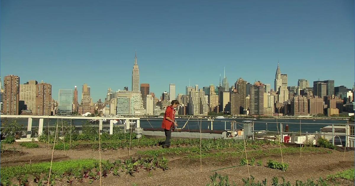 Food Forward | Promo: Food Forward | PBS