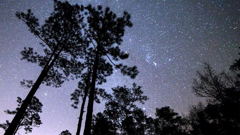 The Forgotten Coast: Return to Wild Florida | PBS Programs | PBS