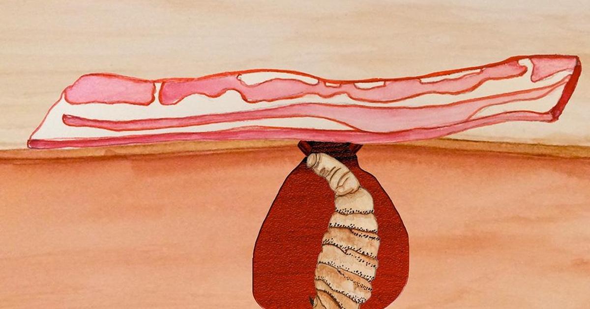 Gross Science | The Strangest Use For Bacon... Ever? | Season 1 ...