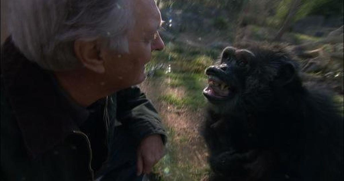 The Human Spark | Human Nature | PBS