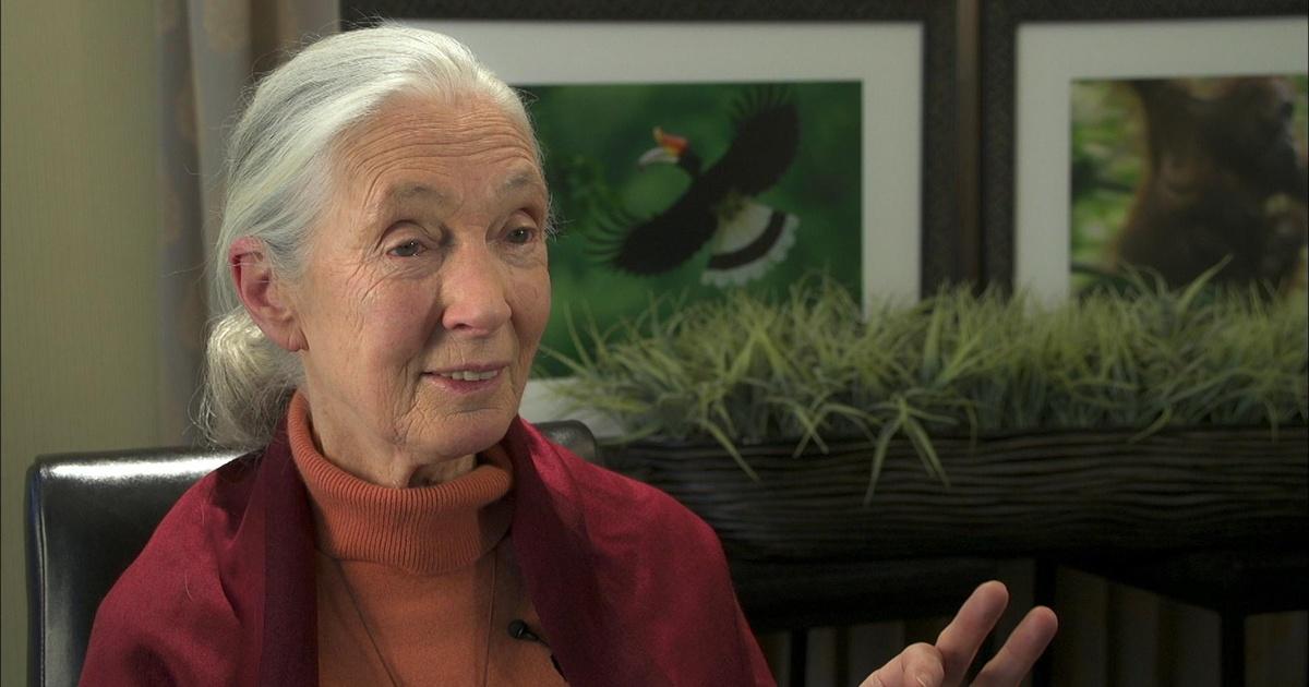 Independent Lens | Seeds Are Magic | Season 18 | Episode 13 | PBS