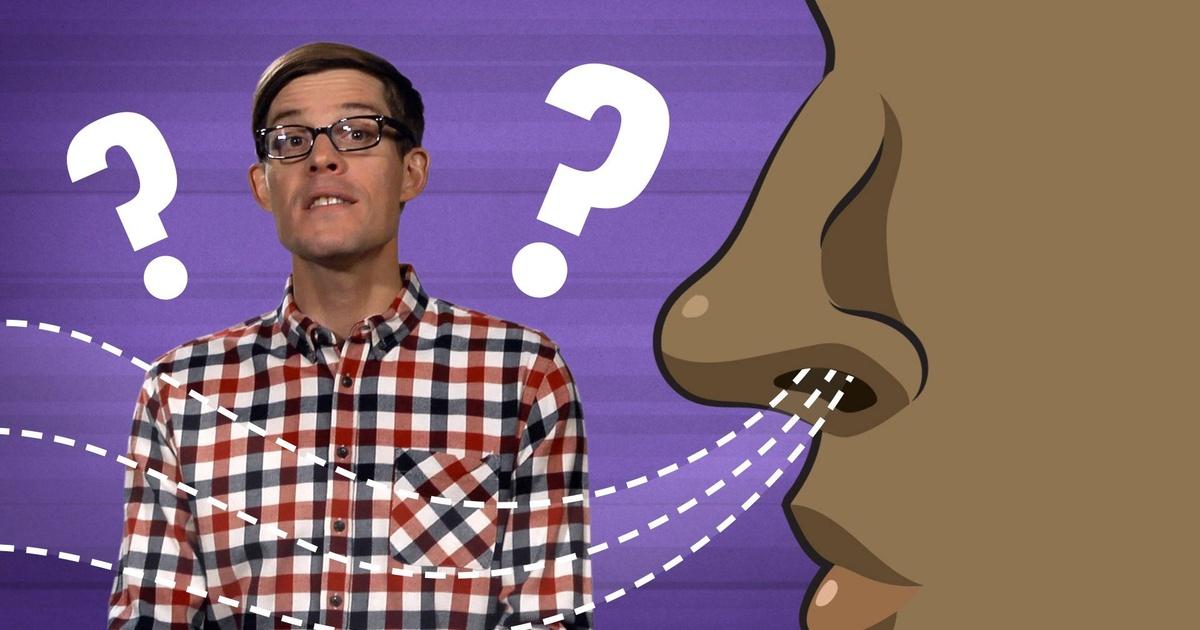 It's Okay to Be Smart | How Many Smells Can You Smell? | Season 1 ...