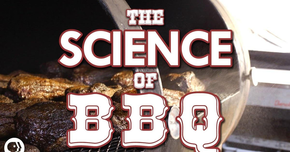 Be Smart | The Science of BBQ!!! | Season 2 | Episode 14 | PBS
