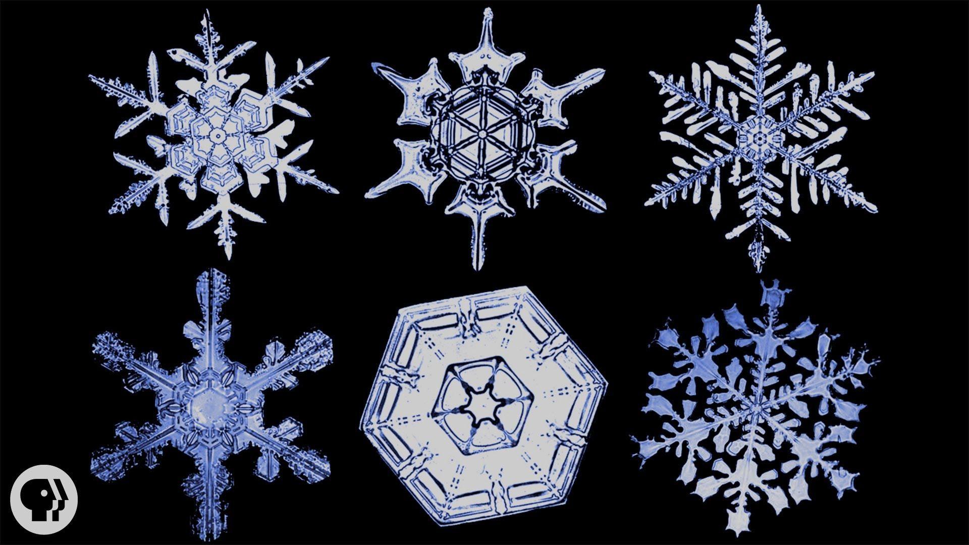 0 Result Images Of Snowflake Show Temporary Tables PNG Image Collection