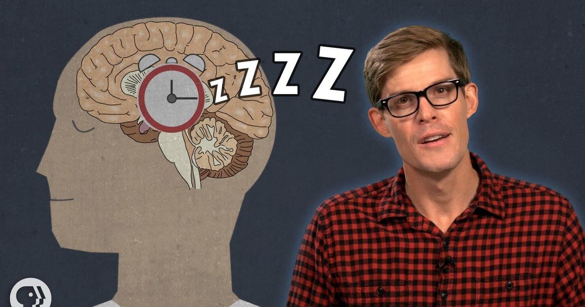 Be Smart | Why Do We Have to Sleep | Season 3 | Episode 48 | PBS
