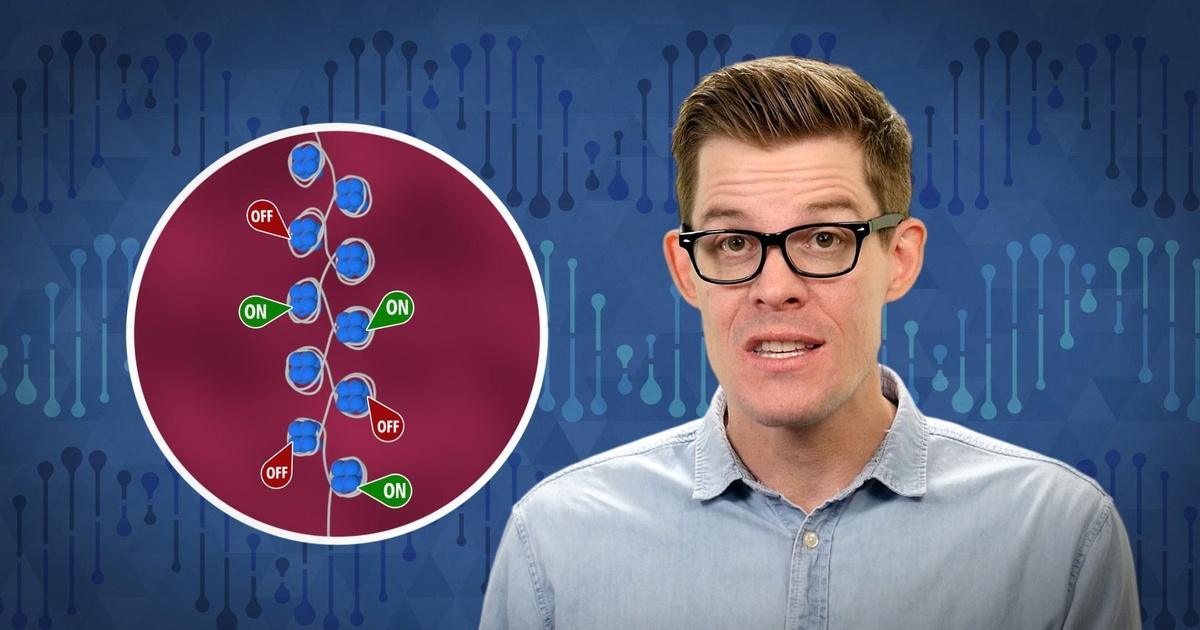 Be Smart | Is Epigenetic Inheritance Real? | Season 4 | Episode 27 | PBS
