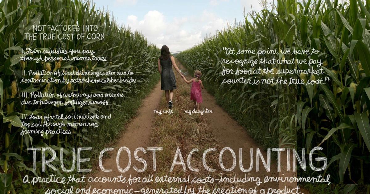 The Lexicon Of Sustainability True Cost Accounting The Real Cost Of