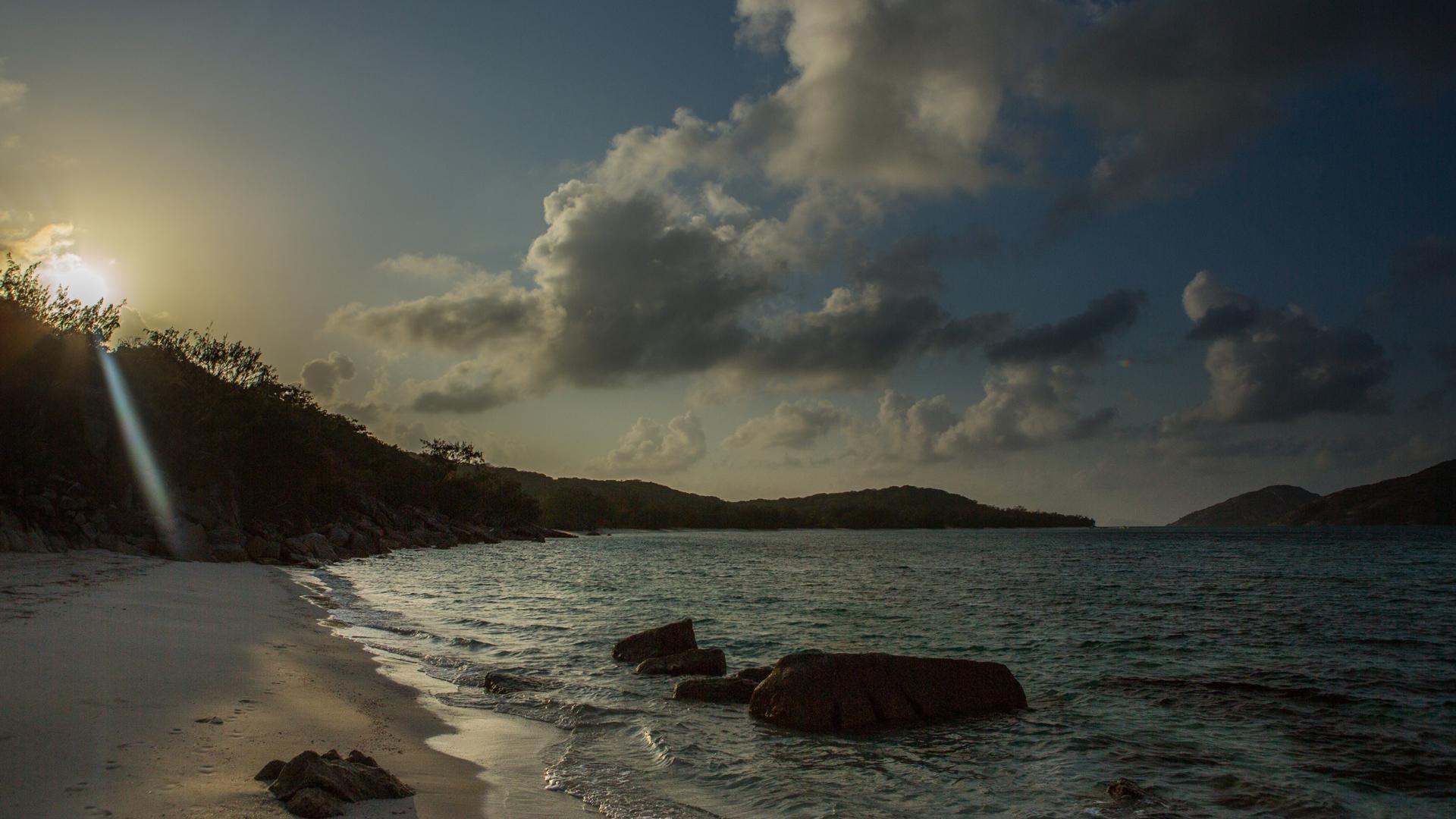 The Reef from Above | Life on the Reef | THIRTEEN - New York Public Media