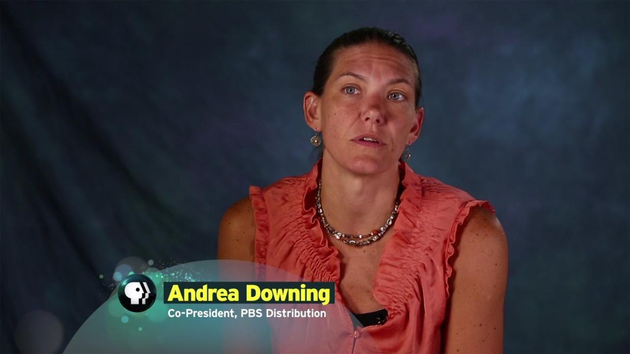 PBS Explorer - Andrea Downing Discusses PBS Distribution | MyPBS