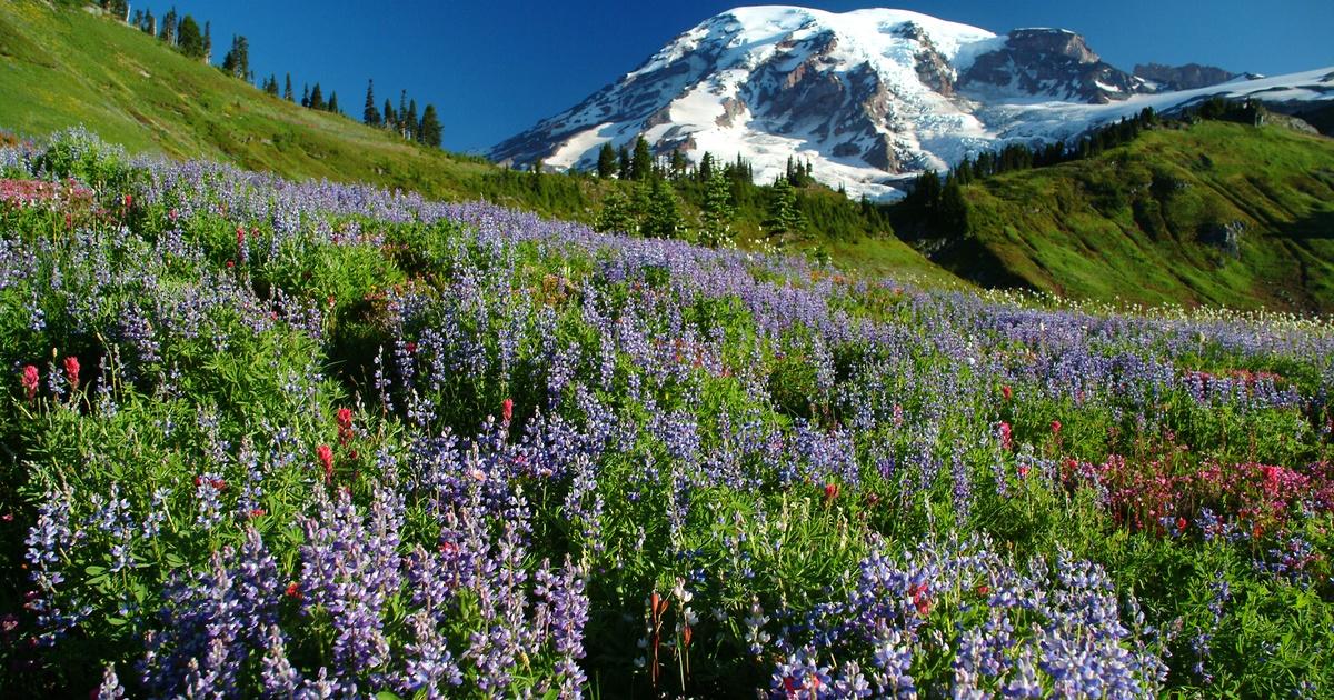 The National Parks | PBS