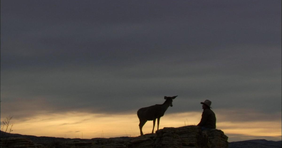 Nature | True Acceptance From The Herd | Season 32 | Episode 15 | PBS
