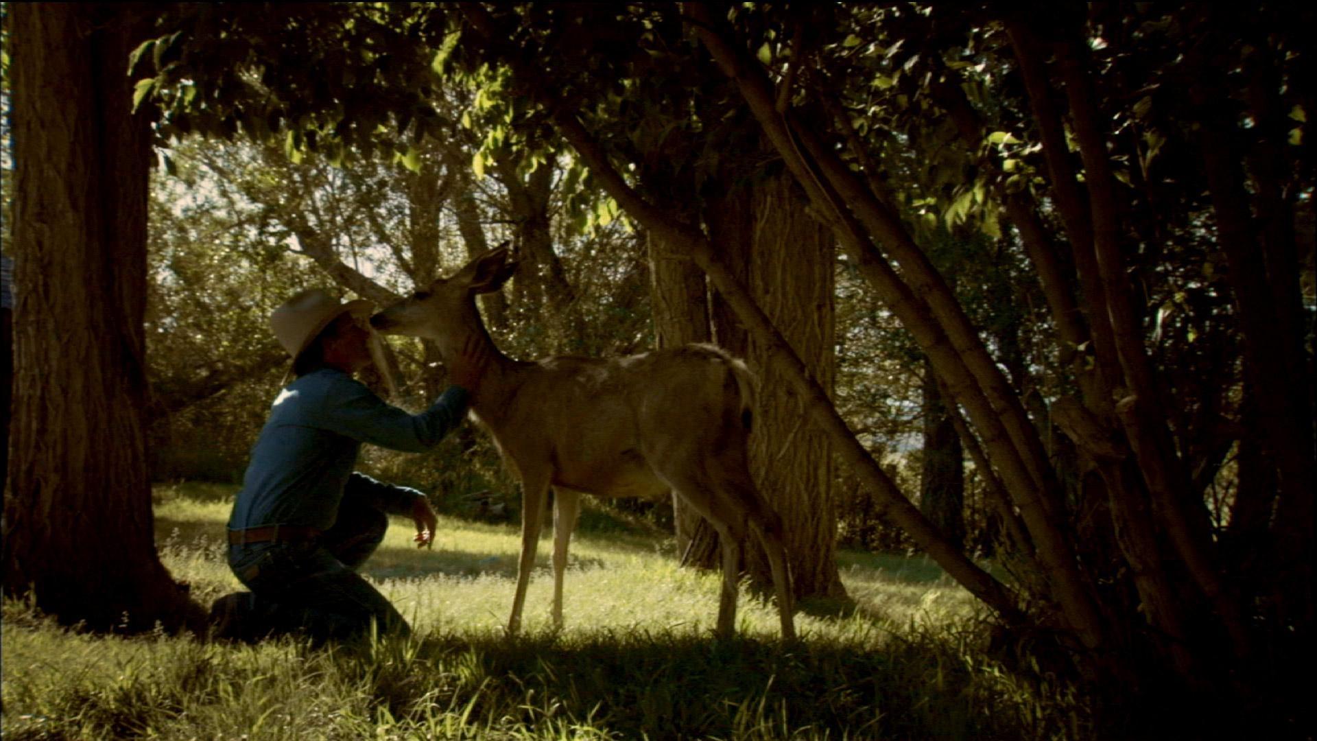 Mule Deer Family Rituals | Nature | THIRTEEN - New York Public Media