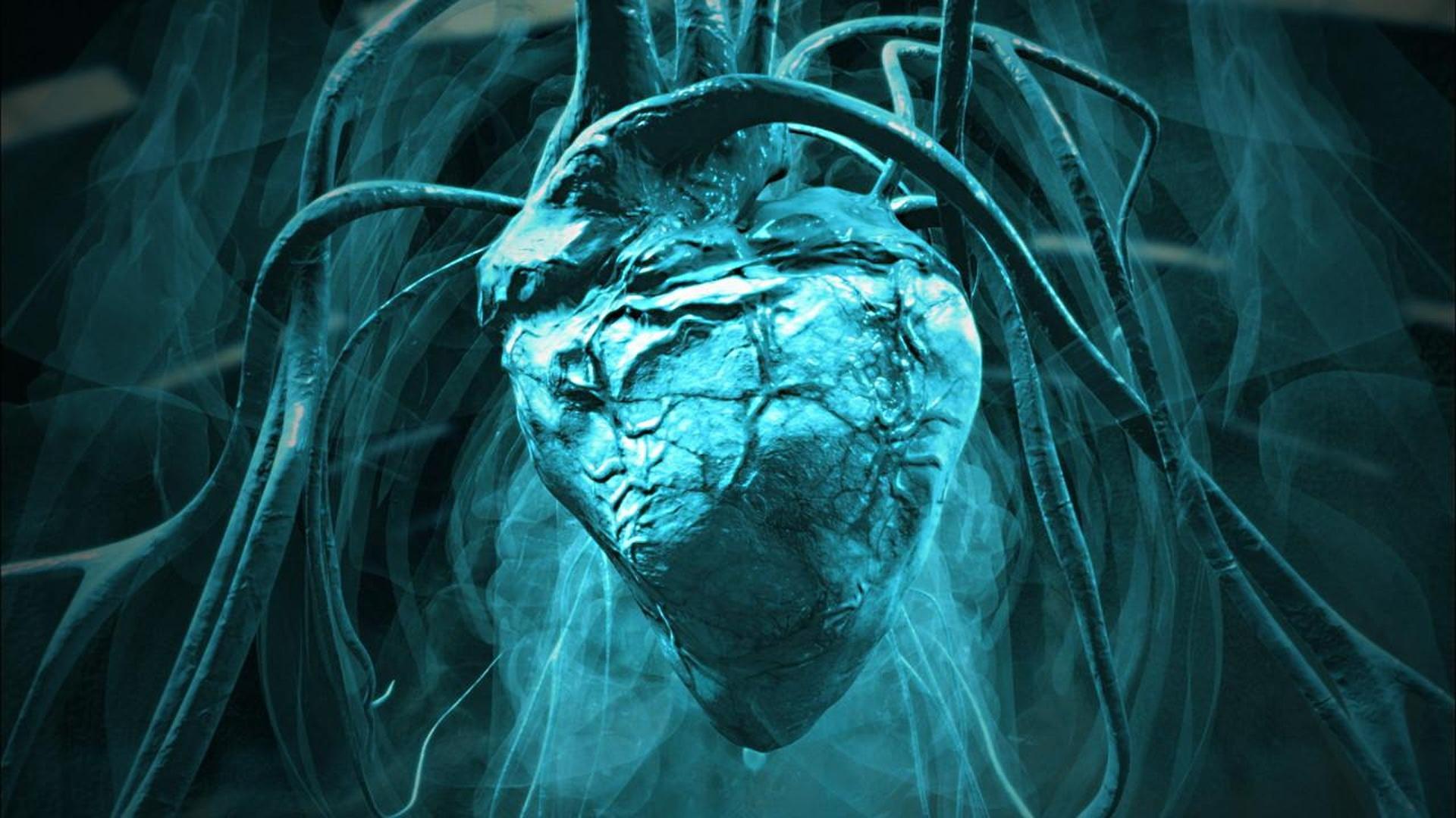 The 500-Pound Dinosaur Heart | Nature | THIRTEEN - New York Public Media