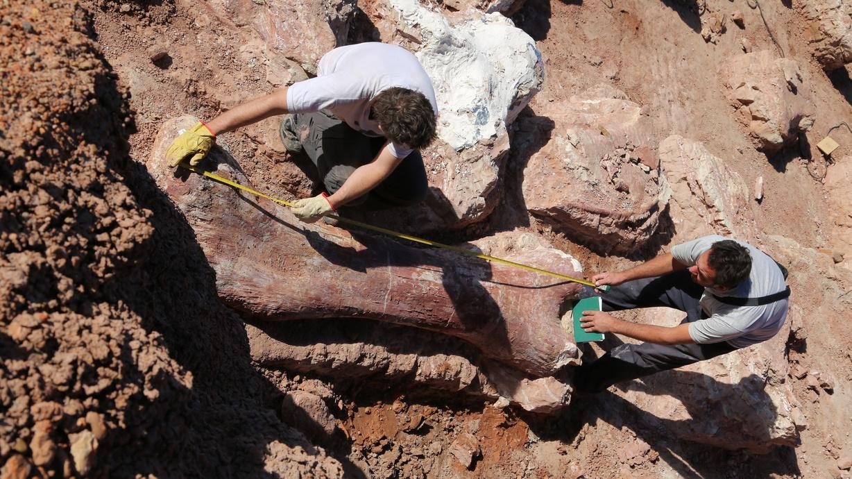 Raising the Dinosaur Giant | Watch on PBS Wisconsin