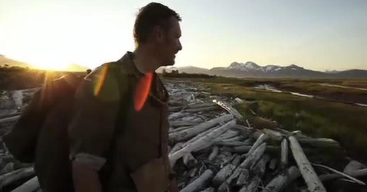 Nature | Interview with Bear Biologist Chris Morgan | Season 29 ...