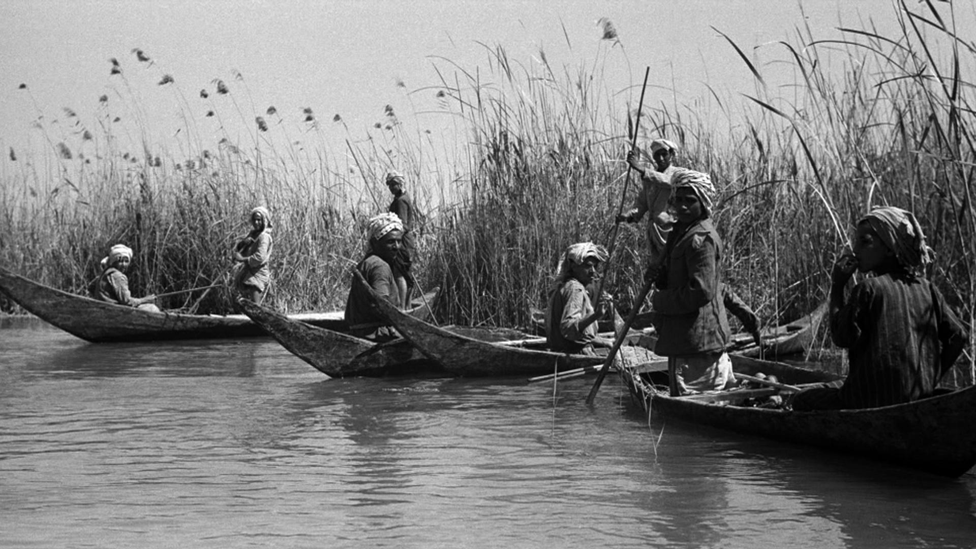 Braving Iraq | Nature | THIRTEEN - New York Public Media