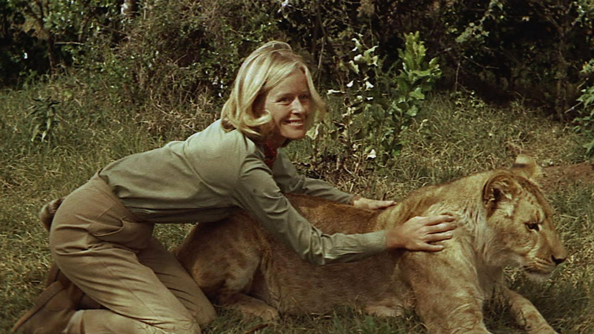Elsa's Legacy: The Born Free Story | Nature | THIRTEEN - New York ...