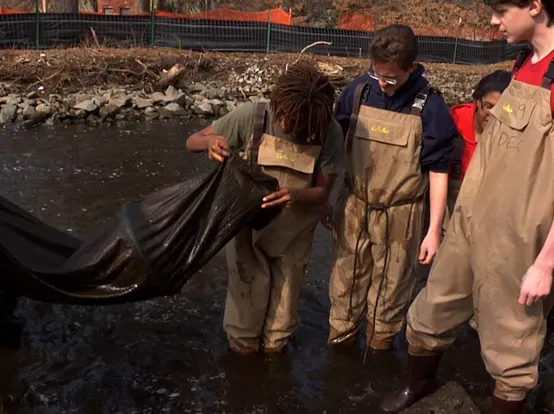 Nature | The Mystery of Eels | Season 31 | Episode 10 | PBS