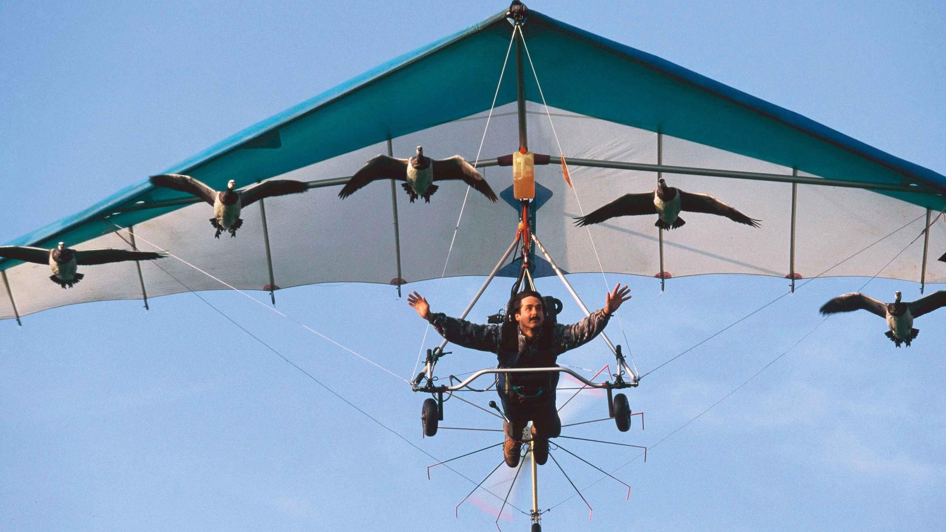 Earthflight: Flying High - Preview | Nature | THIRTEEN - New York ...