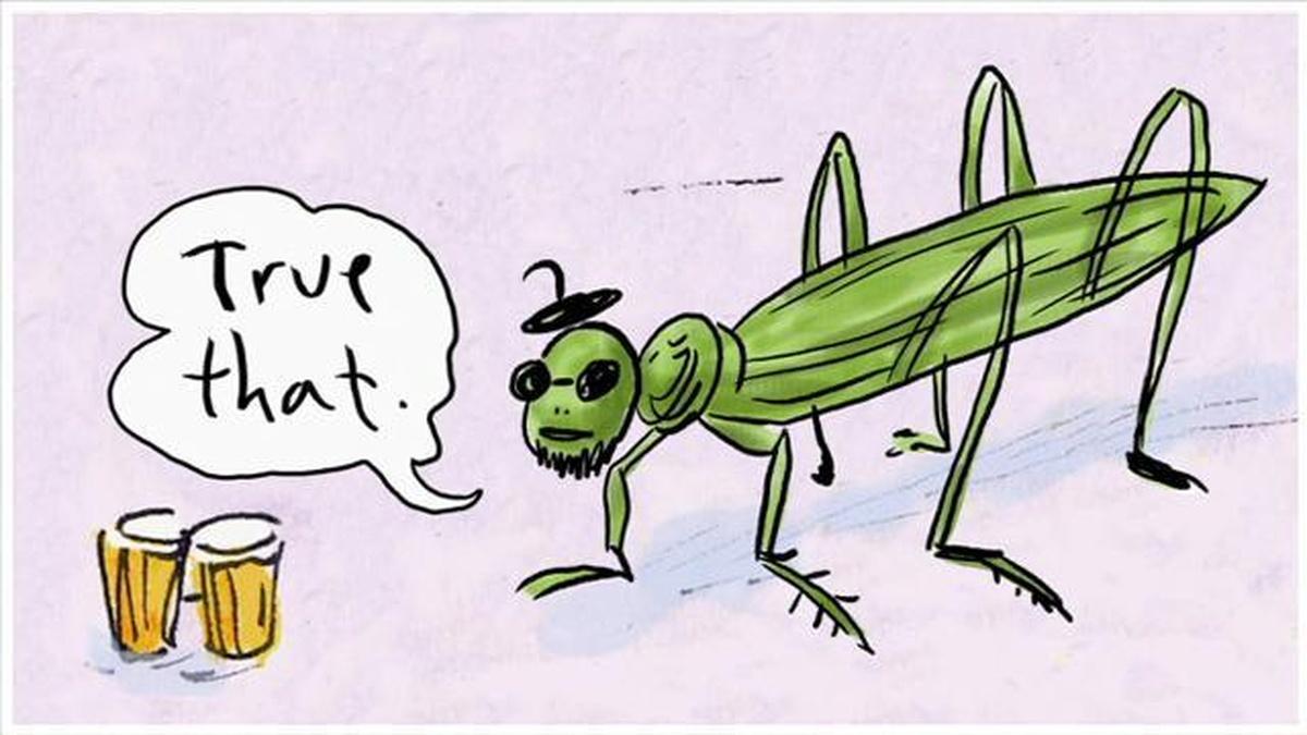 New Yorker Cartoonist Roz Chast | Need To Know | NJ PBS