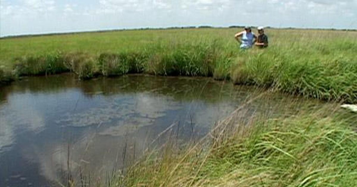 Need To Know | Disappearing Delta | Season 1 | PBS