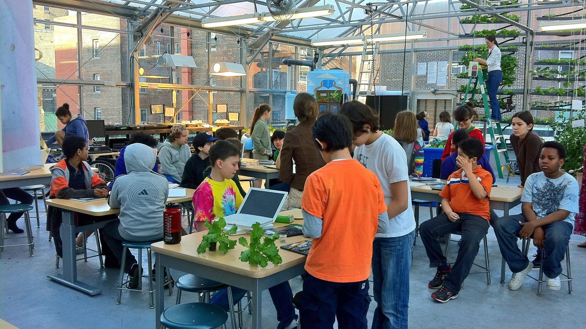 Greenhouse labs spur student learning on Manhattan rooftops | PBS ...