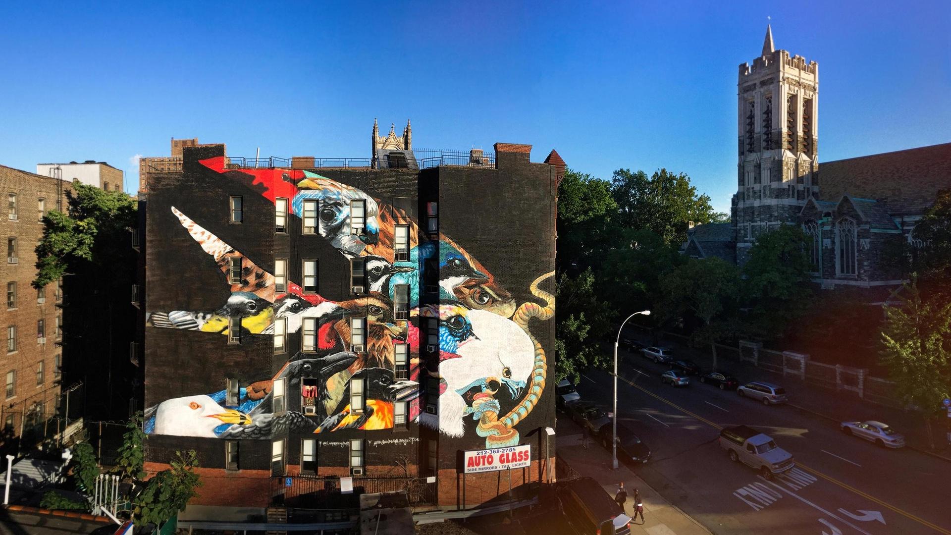 These vivid NYC murals spotlight climate-threatened birds | PBS ...