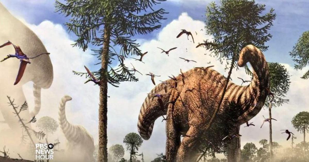 PBS NewsHour | This artist brings dinosaurs back to life | Season 2017 ...