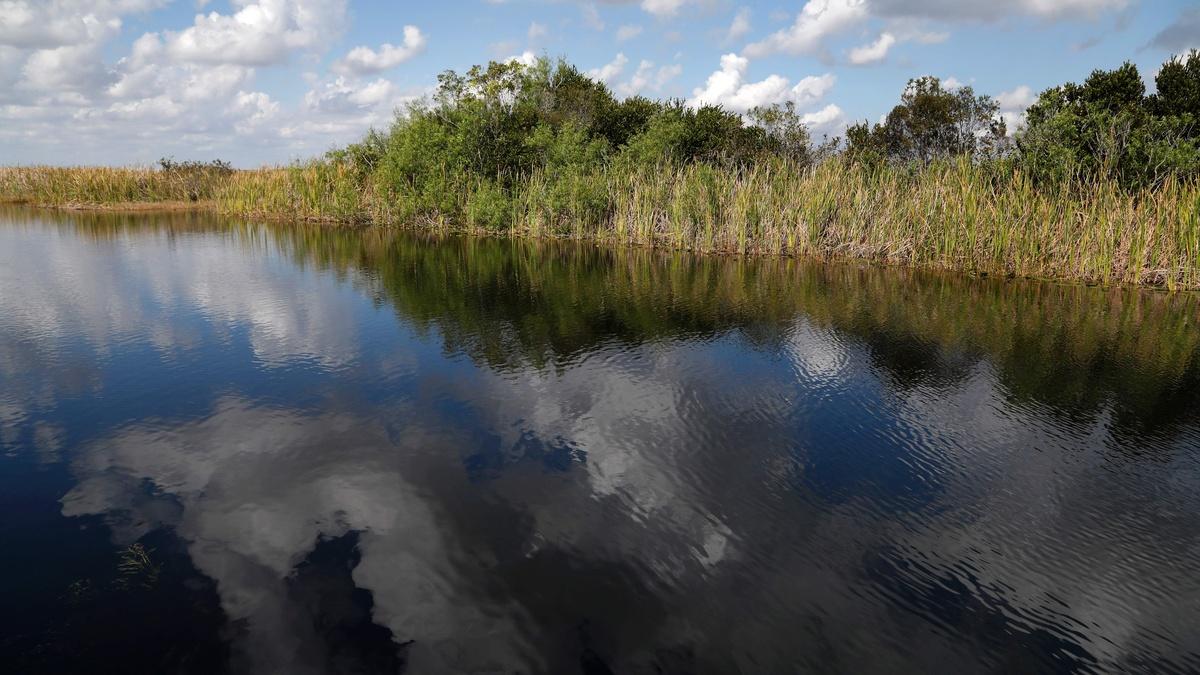 What's stopping the vulnerable Everglades from being healed? | PBS ...