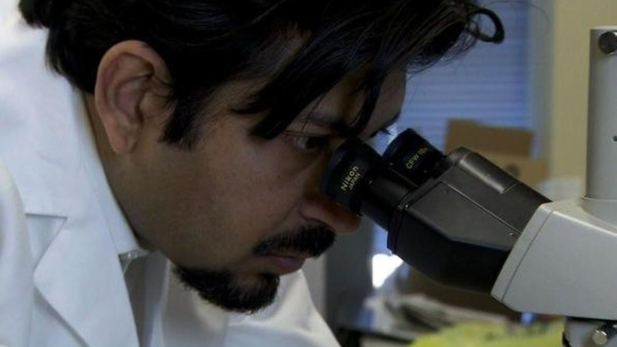 In New Book, Doctor Explores History of Cancer | PBS NewsHour ...