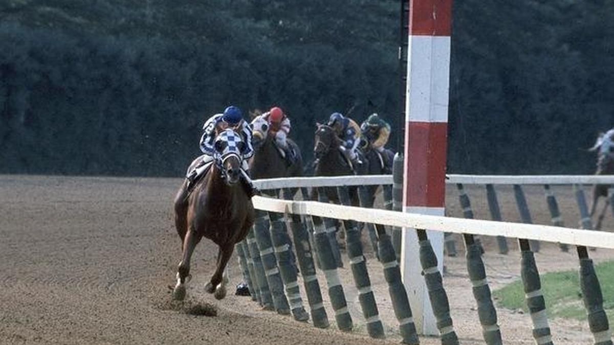 For Andrew Beyer, Secretariat Still Finishes First | PBS NewsHour | THIRTEEN - New York Public Media