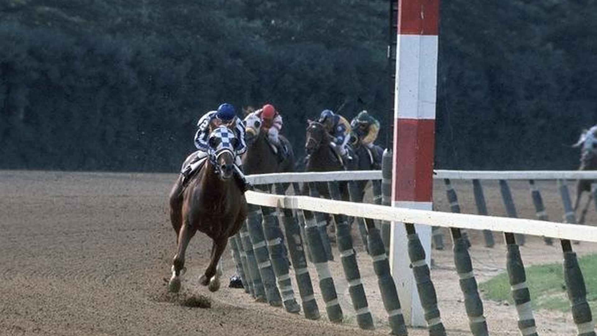 For Andrew Beyer, Secretariat Still Finishes First | PBS NewsHour ...
