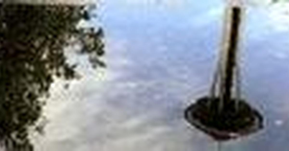 PBS News Hour | Seattleites Make Rain Gardens to Curb Stormwater ...