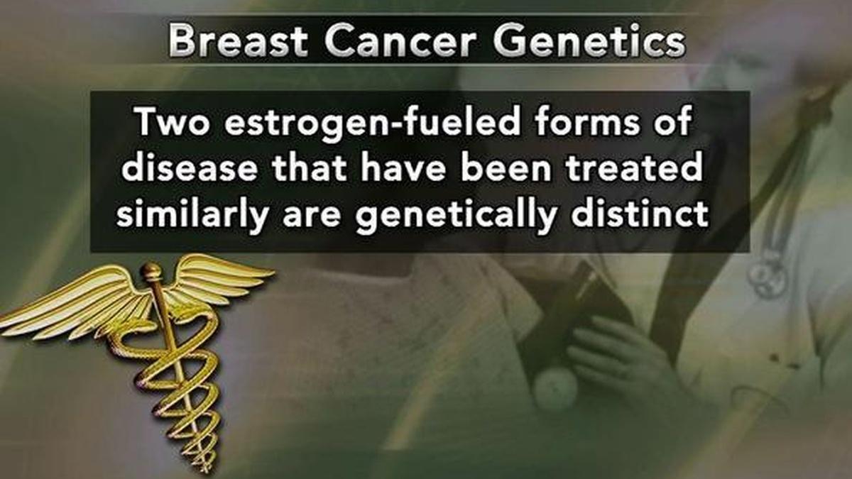 Genetic Analysis of Breast Cancer Could Change Treatment | PBS NewsHour ...