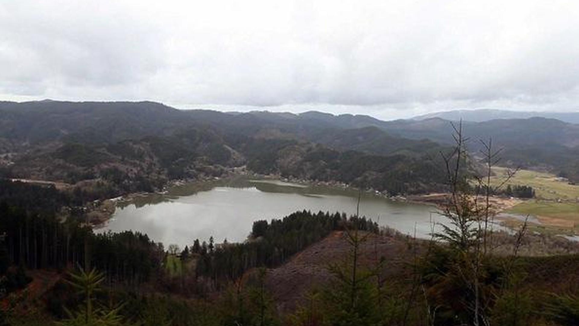 Forests in Oregon at Risk from Timber Industry and Chemicals | PBS ...