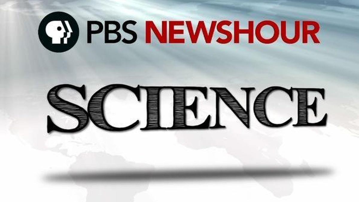 Google's Effects on Memory | PBS NewsHour | THIRTEEN - New York Public ...