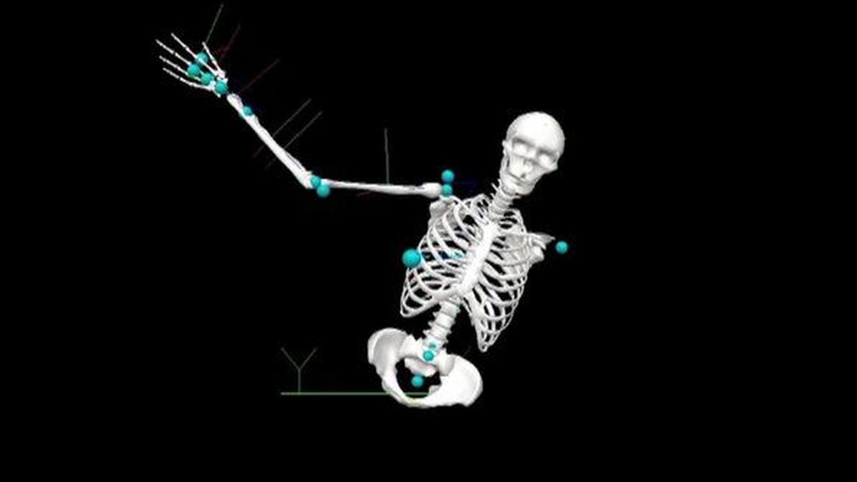 The Evolution of Our Throwing Shoulder | PBS NewsHour | THIRTEEN - New ...